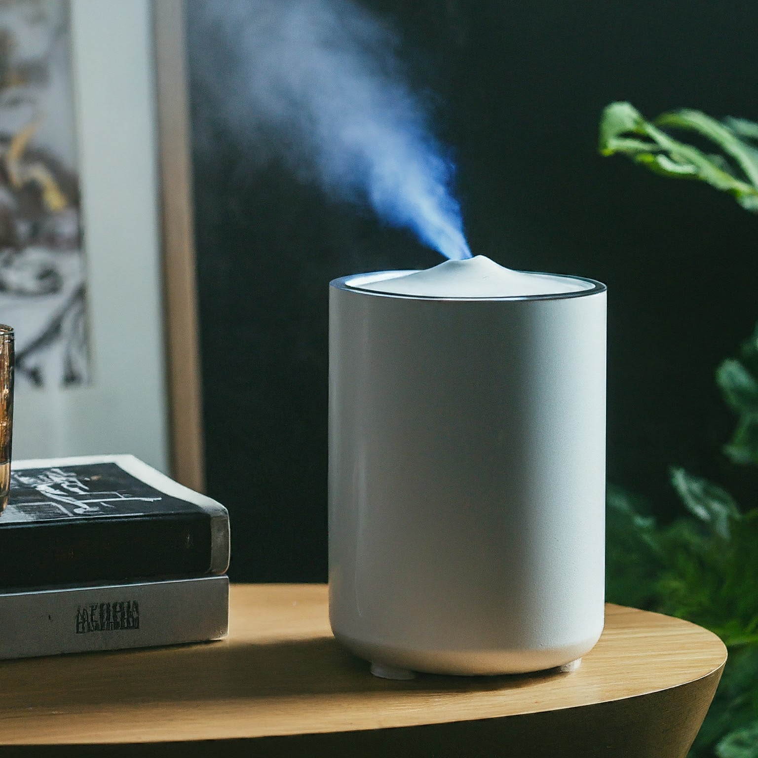 Piezo Atomizer - Piezo Mist Generators & Fine Mist Generator